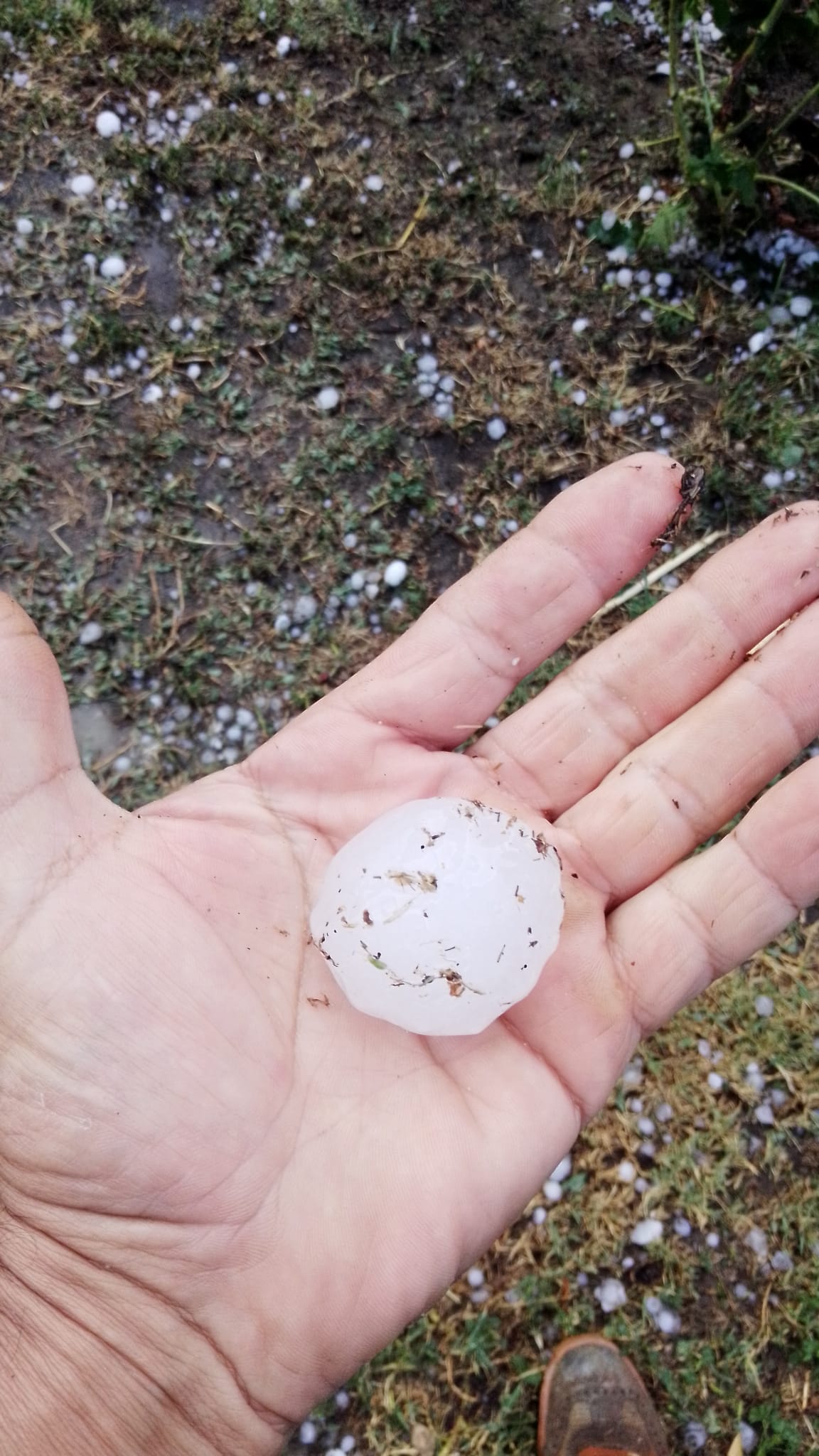 Regione Piemonte: richiesta stato d'emergenza per la grandine - Il Piccolo