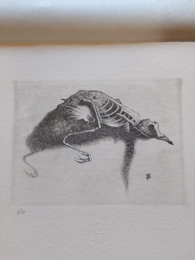 Franco Sassi: nove incisioni per il Gabinetto delle Stampe - Il Piccolo