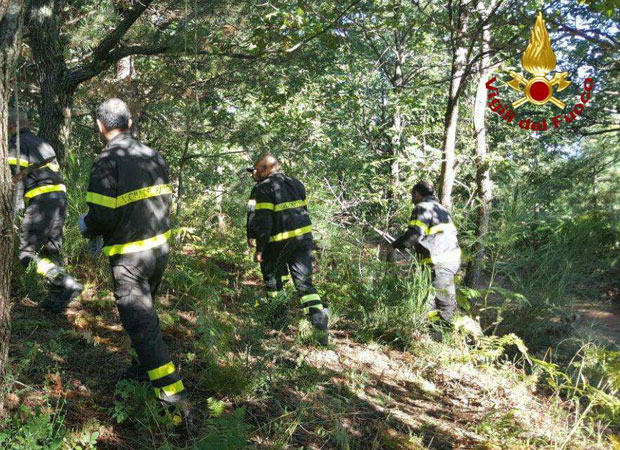 Tragedia nei boschi: cade mentre cerca i funghi, muore 60enne - Il Piccolo Tragedia nei boschi: cade mentre cerca i funghi, muore 60enne - Il Piccolo