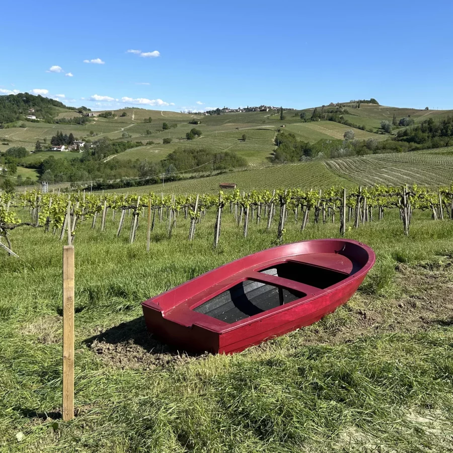 Le barche tra le vigne - Il Piccolo