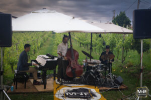 Monfrà Jazz Fest: musica e territorio per far fiorire il Monferrato ...