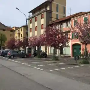 Le danze popolari protagoniste a Cabella Ligure - Il Piccolo