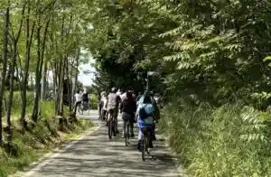 Alla scoperta della storia novese con "Pedalarte" - Il Piccolo