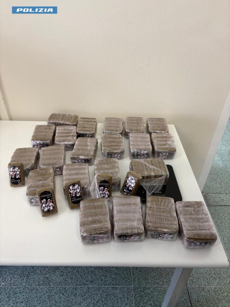 Alessandria: hashish pronto per lo spaccio in casa: sequestrati 11 ...
