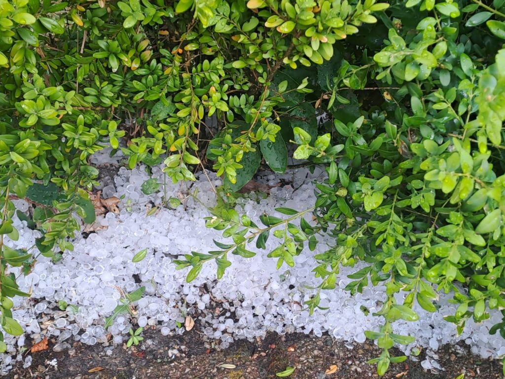 Grandinata nel Casalese, Rosignano chiede lo stato di calamità - Il Piccolo